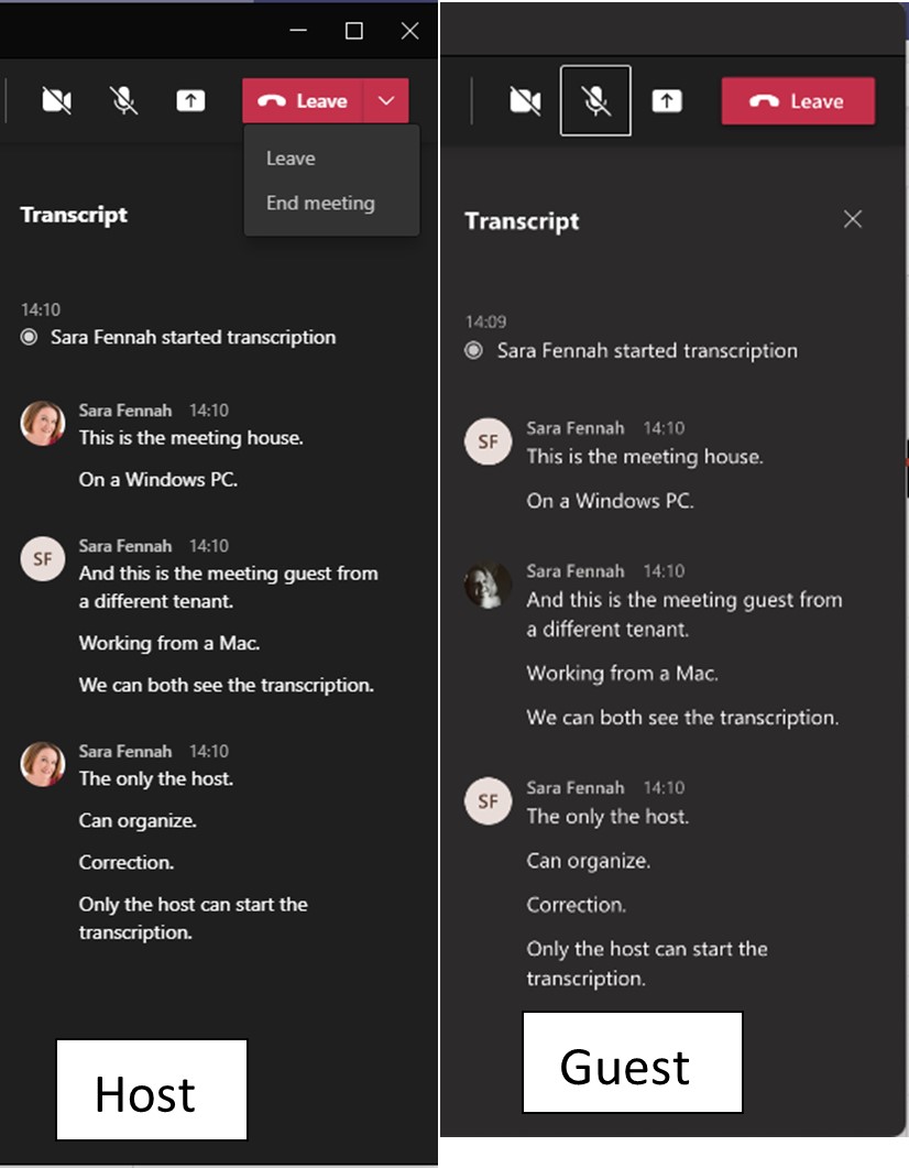 Meeting Transcription – The Teams Queen Blog