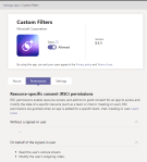 Custom Video Filters – The Teams Queen Blog